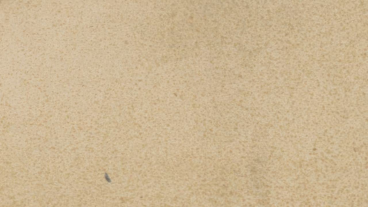 California State Normal School, San Jose by Popular Graphic Arts