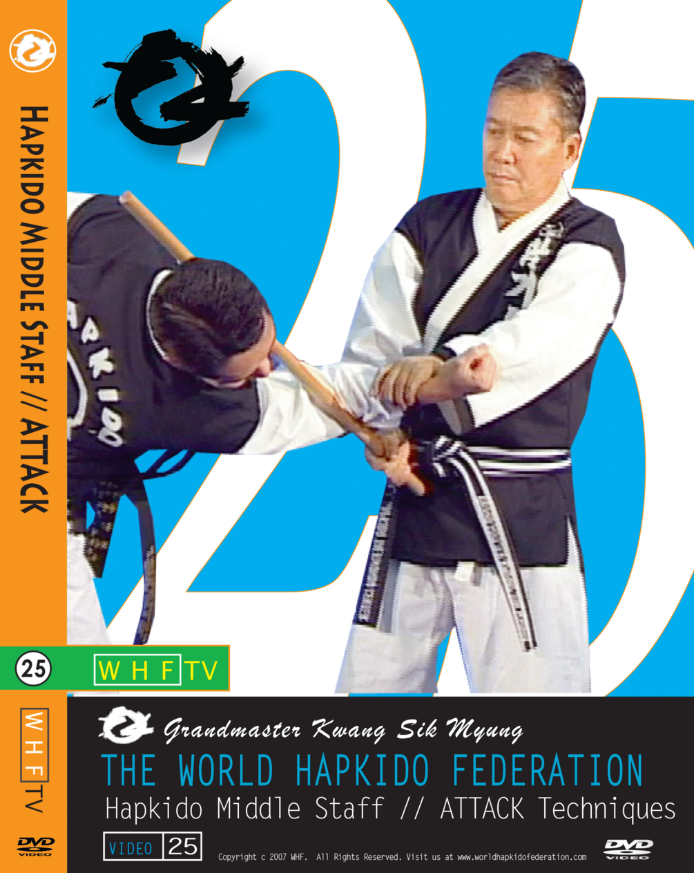 25. Hapkido Middle Staff // Attack Techniques