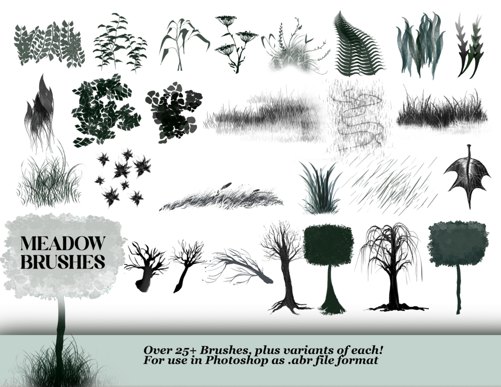 Photoshop Meadow Brushes - 27 Unique Foliage Brushes, with over 50 ...
