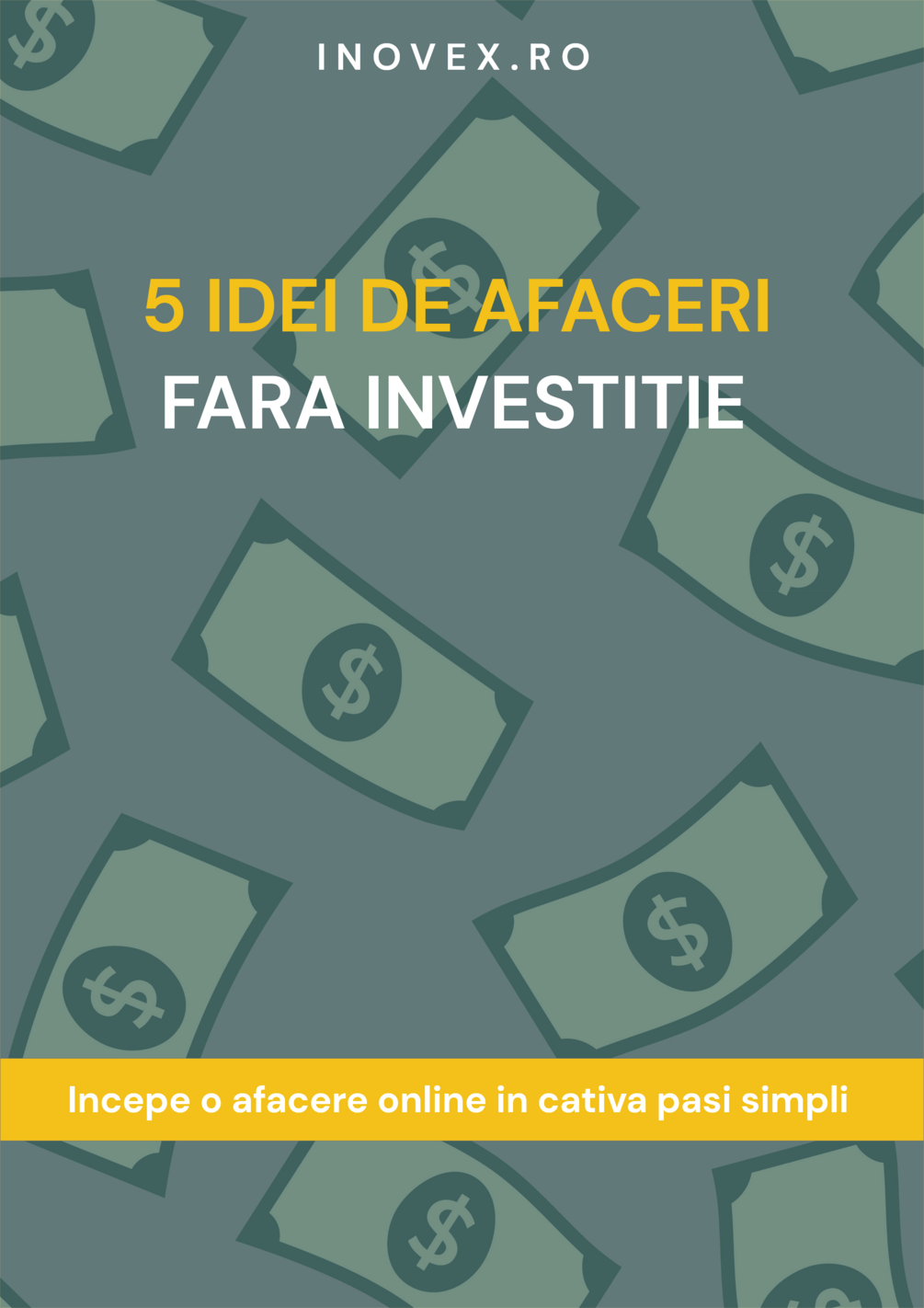 5 idei de afaceri fara investitie