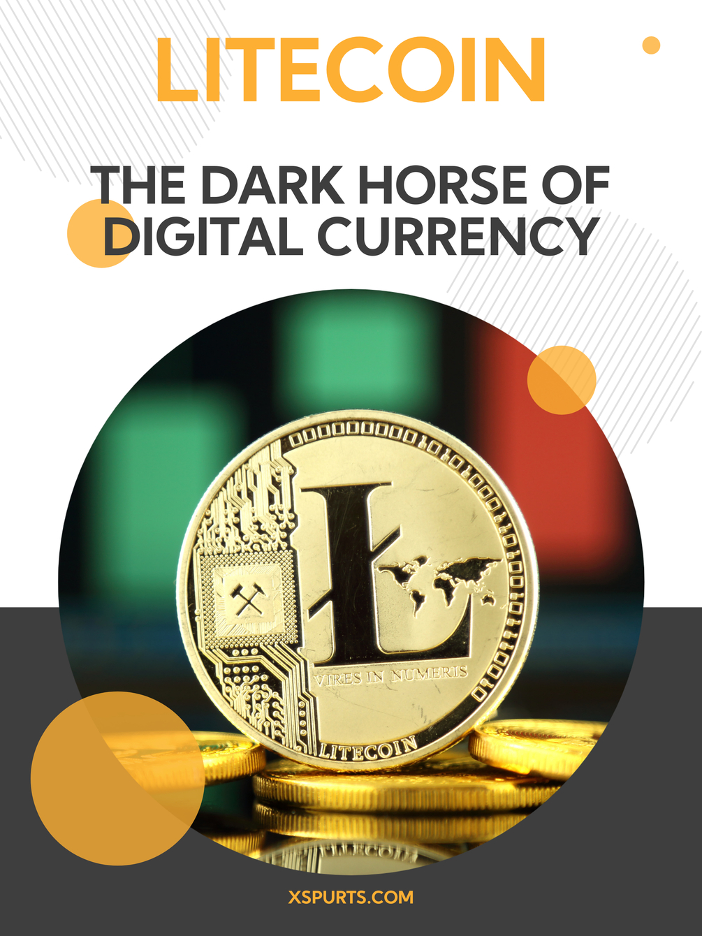 Litecoin: The Dark Horse of Digital Currency