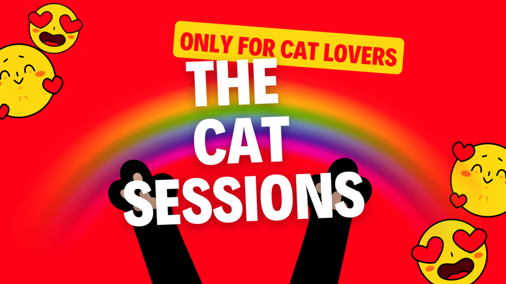 Pack of 10 pins sized for stickers of cats - Session 1