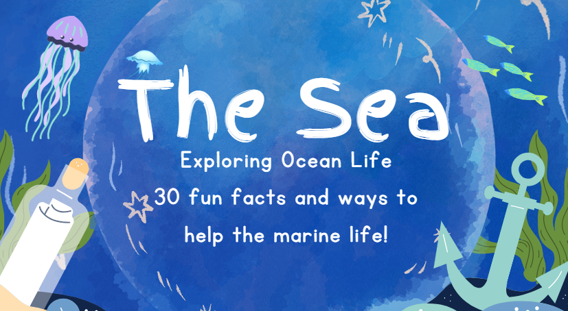 The Sea: Exploring Ocean Life with 30 fun facts for kids + 5 ways to ...