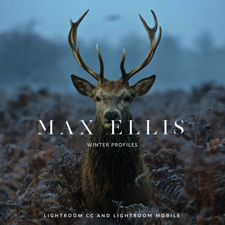 Max Ellis - Winter - Lightroom Presets