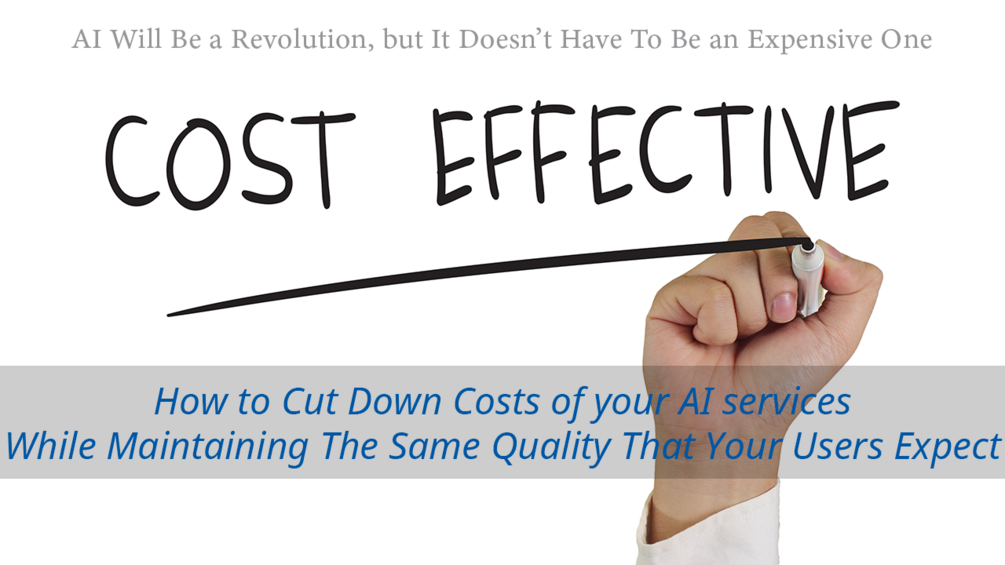 Cut Down Costs of AI