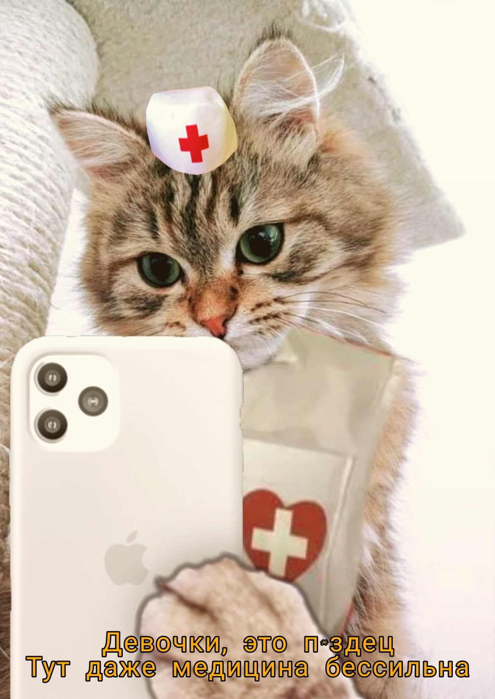 Medic kitty
