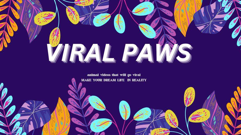 VIRAL PAWS *animal videos that will go viral on social media 100% ...