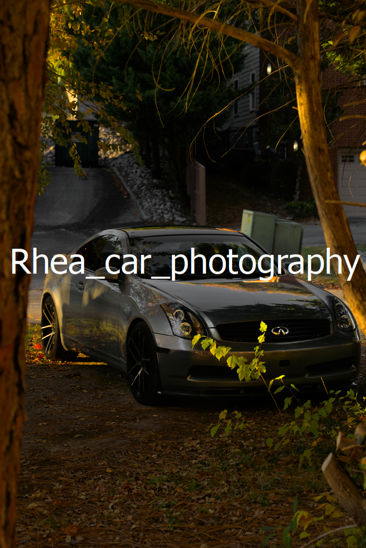 G35_Under_The_Trees