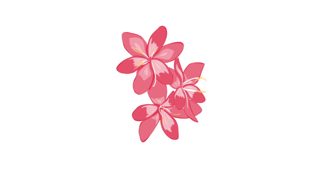 "Pink Frangipani Floral M Wallpaper – Monogram Vector Art