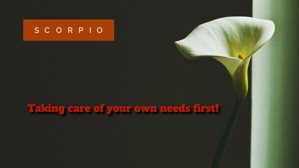 Extended Scorpio Feb 2020.