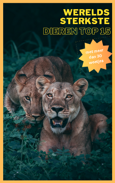 Werelds sterkste dieren top 15