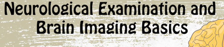 Neurological Examination and Brain Imaging Basics
