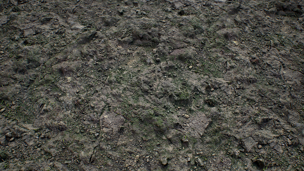 [Seamless PBR Textures] Forest_Stones_2k