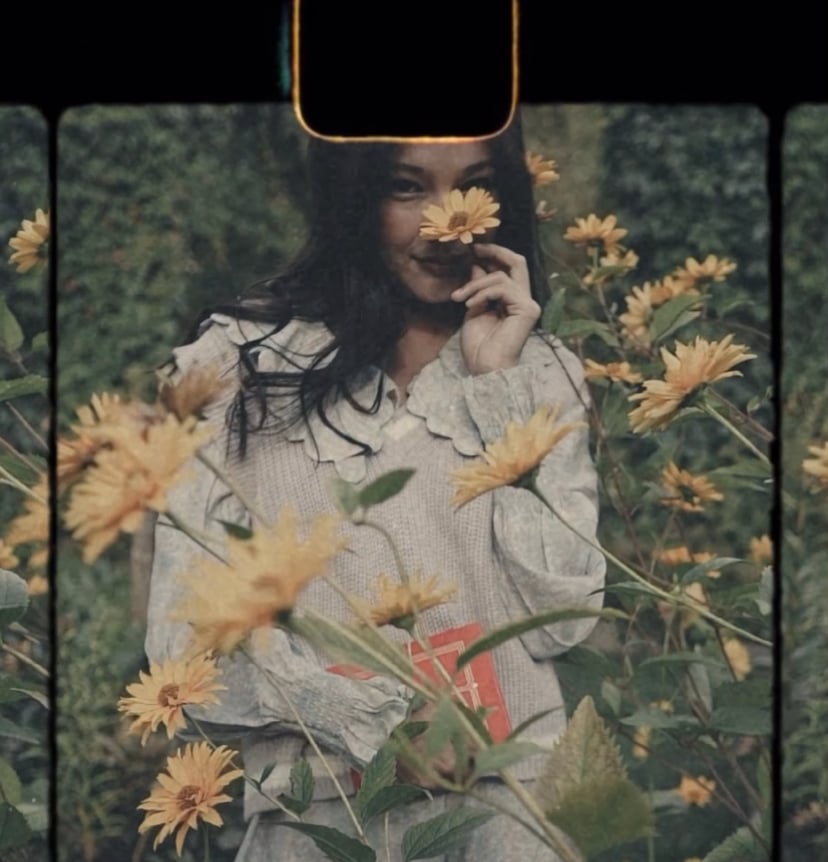 Spark Ar Filter "Retro Frame" Lut Retro + Dust + Noise + Frame (for ...