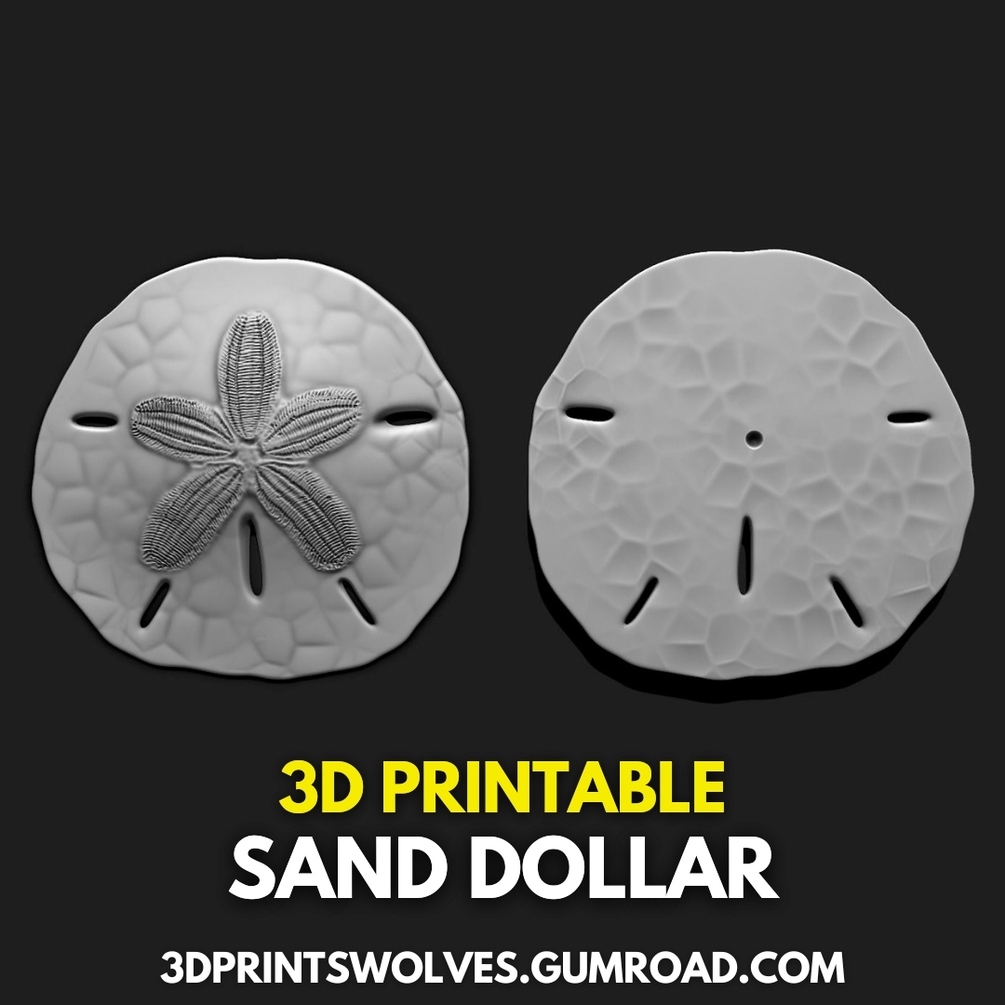 Sand Dollar - Clypeasteroida 3D Print - Aquarium 3D print model