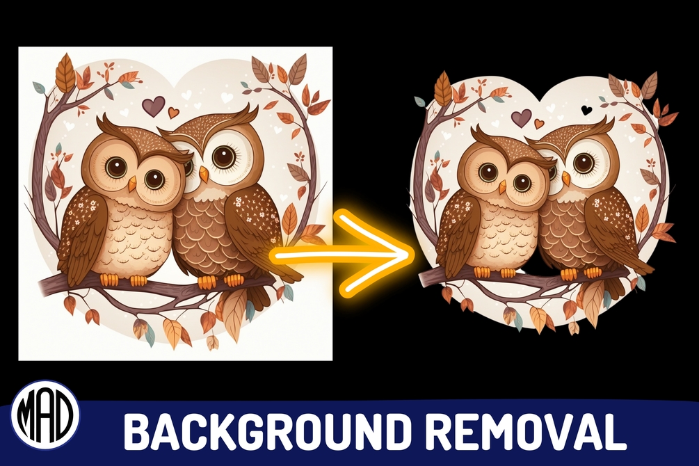 Simple Photo Backgrounds Removal in BATCH