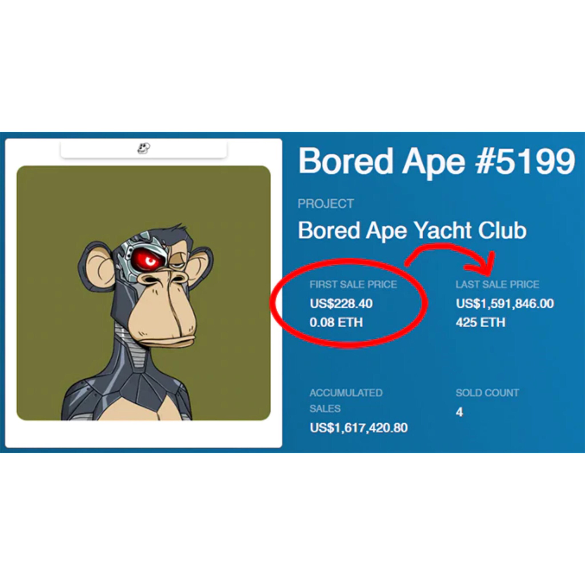 ULTIMATE NFT ZIP 101 [2022 EDITION]