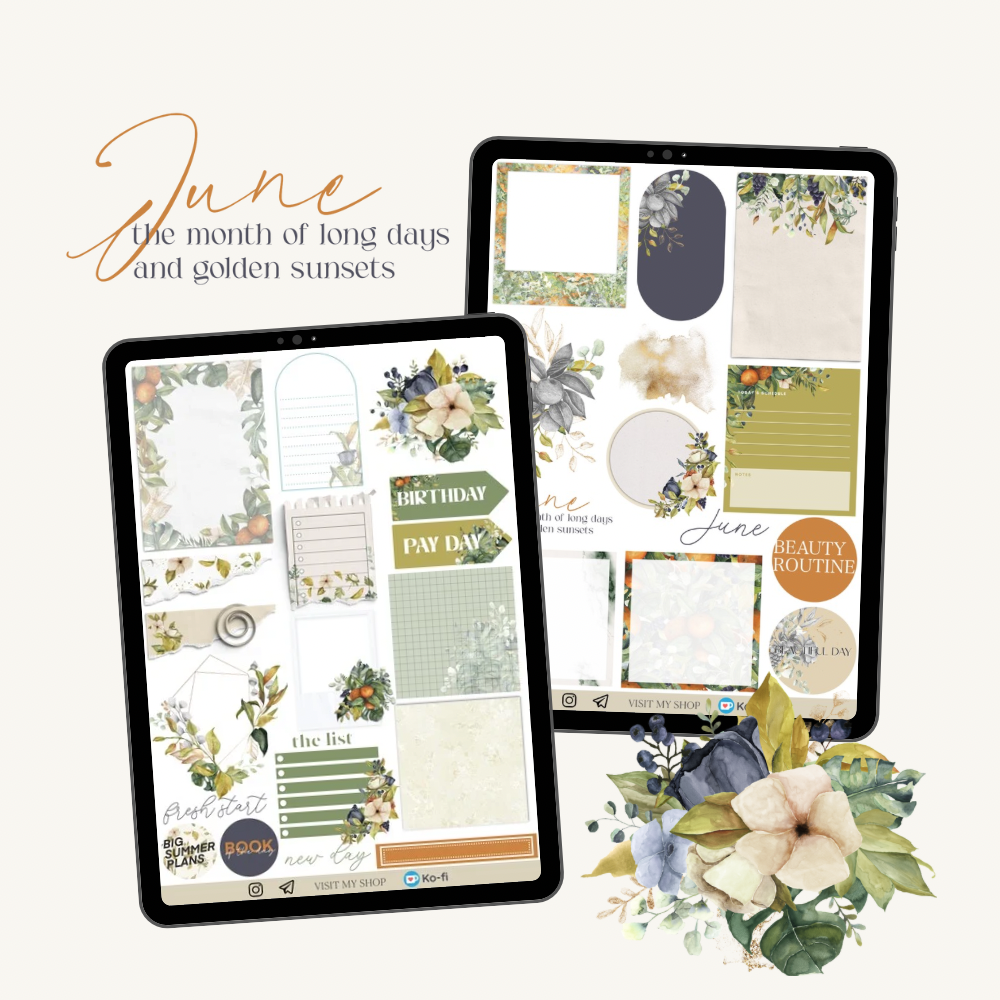 June Orange stickers, GoodNotes & PNG