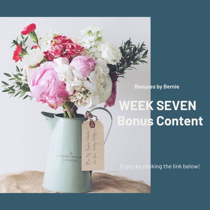 BONUS PDF FOR WEEK 7 - RYPWIA 12-Week Program - Soul Realignment Process