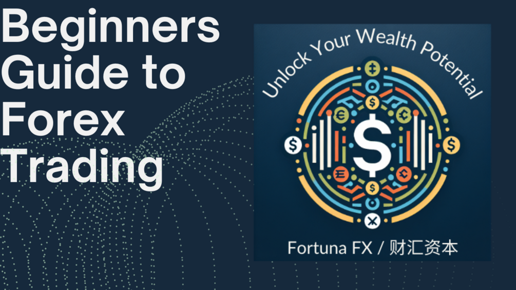 Beginner’s Guide to Forex Trading