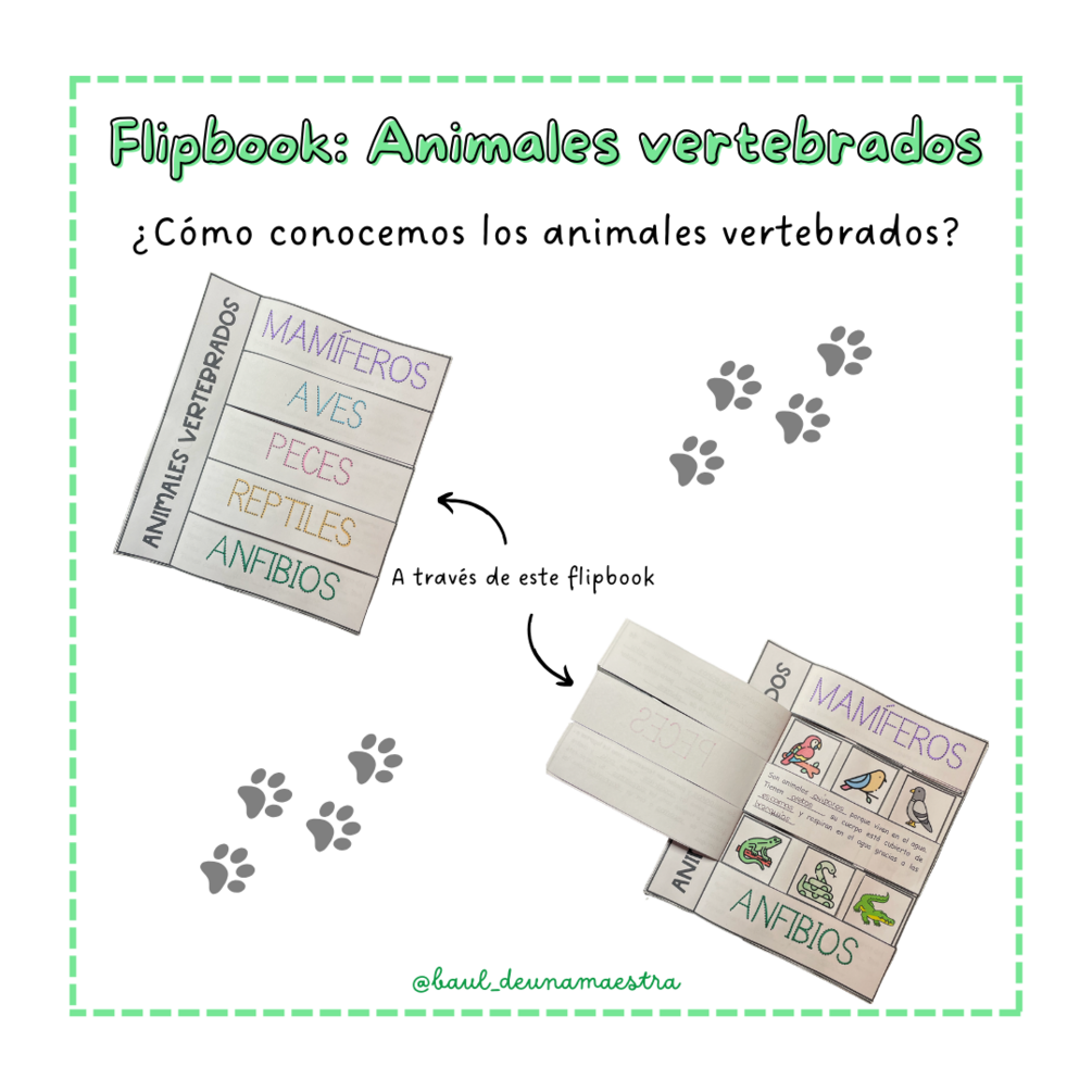 Flipbook: animales vertebrados