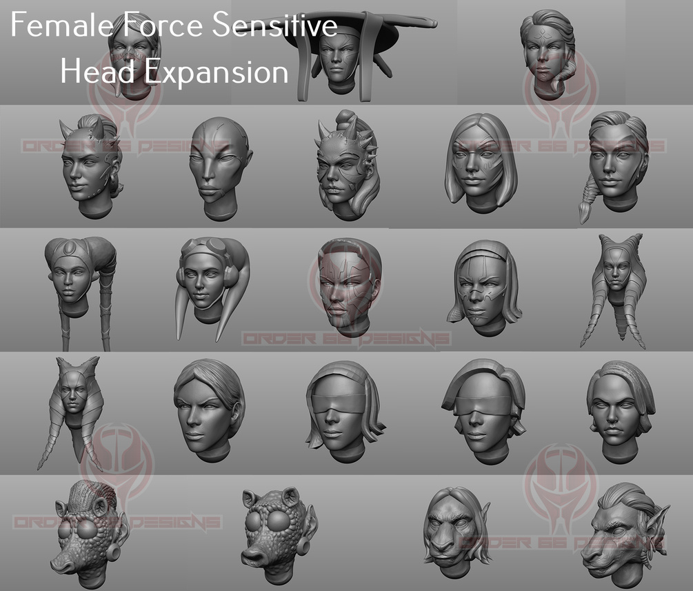 Female Force-Sensitive Head Expansion - Legion Scale - Modular