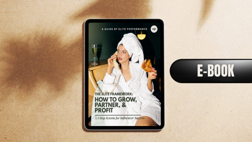 The Elite Framework: How Our Influencers Grow, Partner, and Profit E-Book