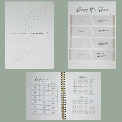 The Relational Intelligence Planner®