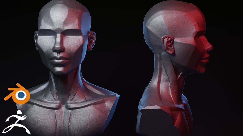 Base Mesh: Head (Free)