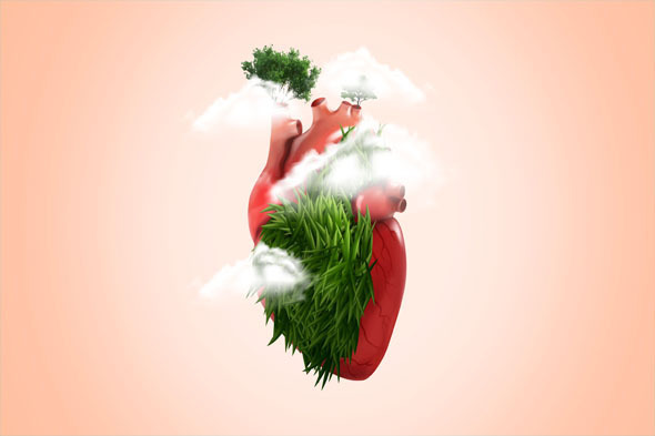 Natural heart concept