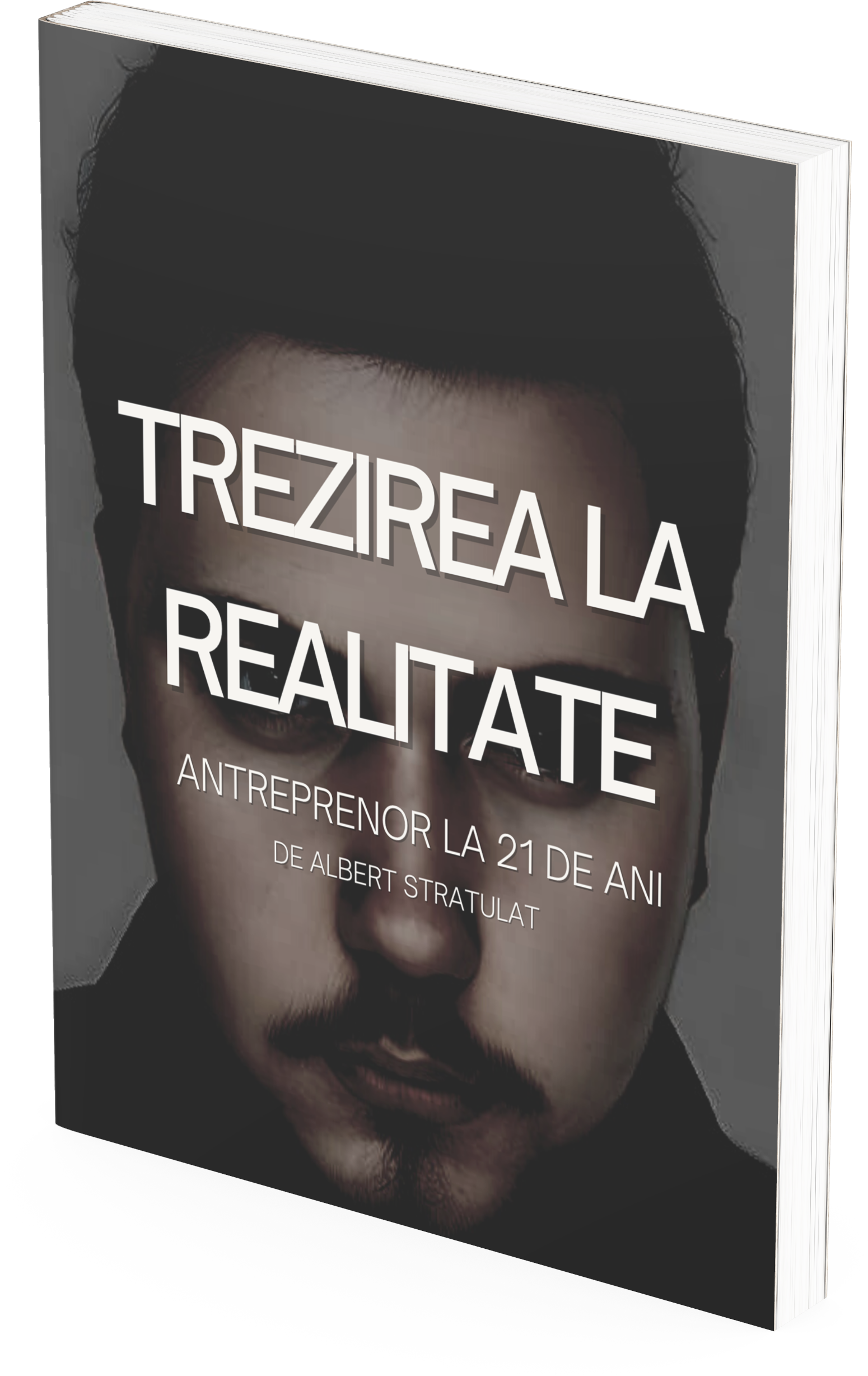 Trezirea la realitate