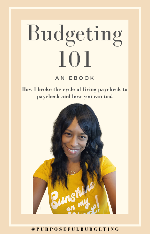 Budgeting 101 eBook