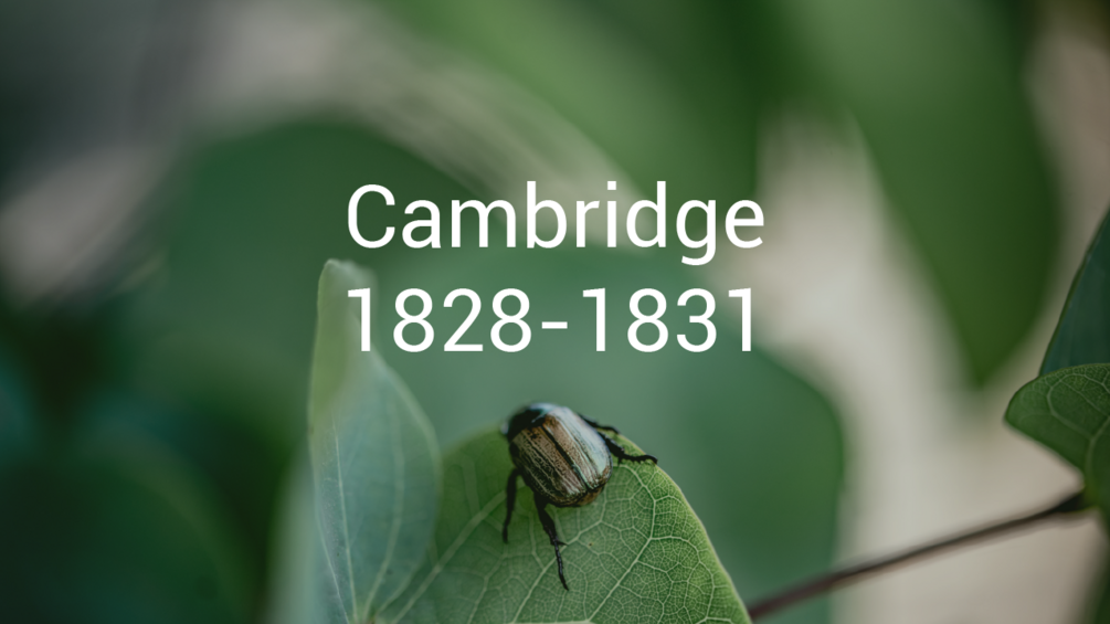 009 Short Reads with Vocabulary Guide (with Malay Translation) - Cambridge 1828-1831