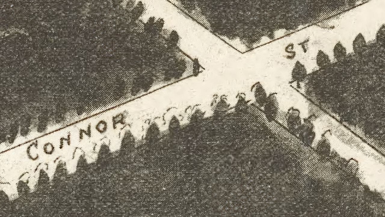 Birds eye view of Wilson, North Carolina 1908. by Fowler, T. M ...