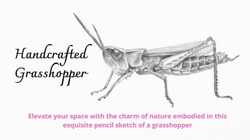Handcrafted Grasshopper
