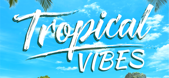 SAMPLE PACK - TROPICAL VIBES VOL. 1 - NUMINOS