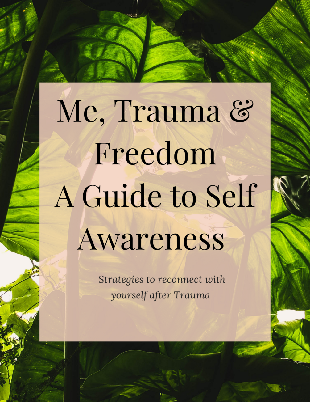 Me, Trauma & Freedom : A Guide to Self Awareness