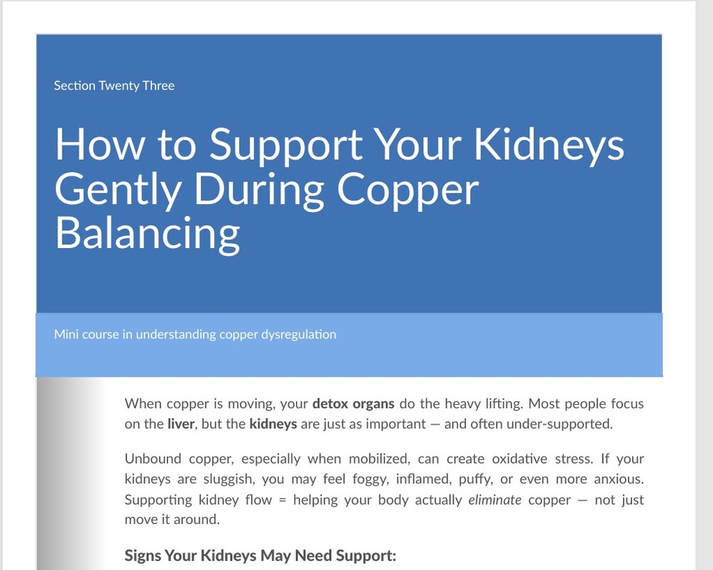 Understanding Copper Dysregulation - Mini Course - Balance your health ...