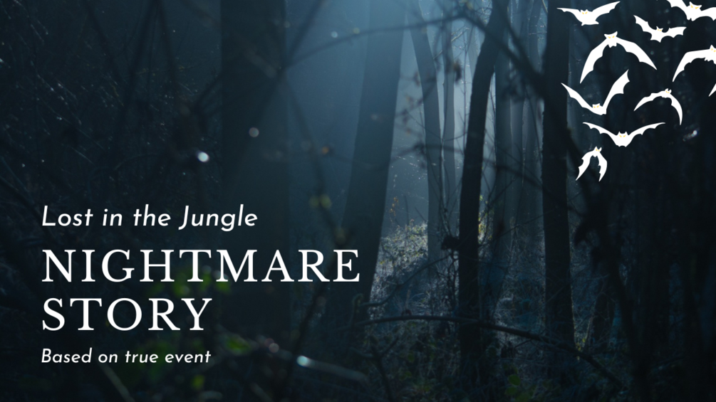 The Enchanted Forest of Evermore