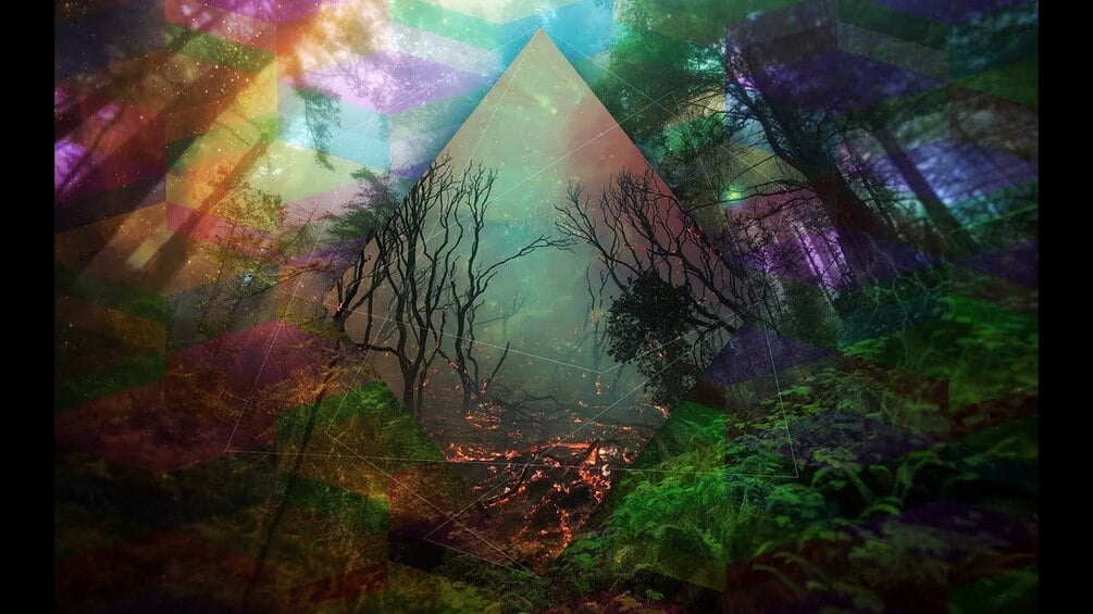 Psy Forest - VCV Rack Patch