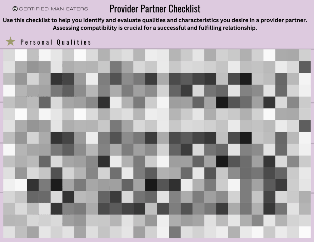 Provider Partner Checklist