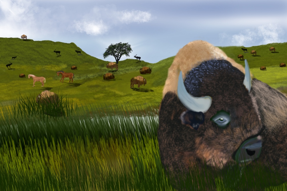 Buffalo Frontier Range - Digital Painting