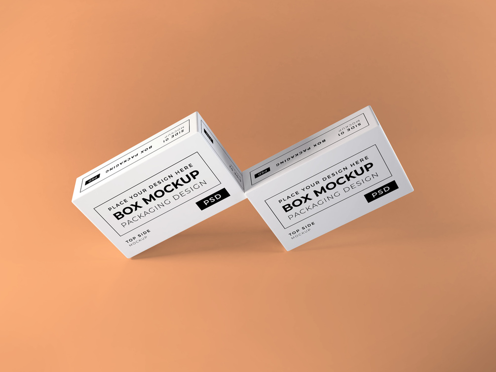 Long Box Mockup Vol 16