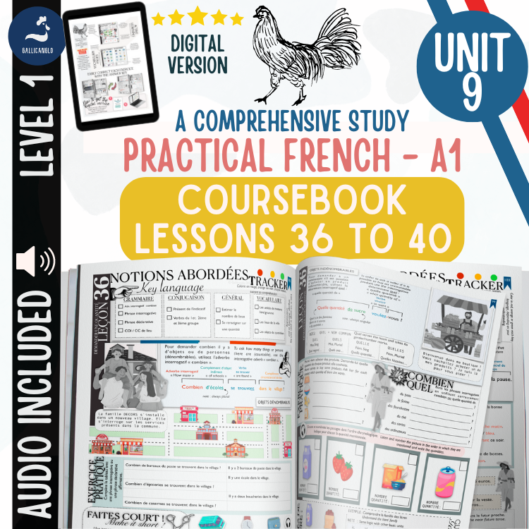 Beginner French Workbook How much/many Mesures Enough Clothes Euro Shopping