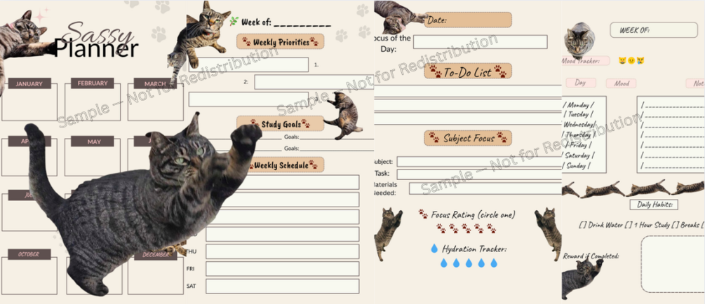 Study with Meow – A Cute Tabby Cat-Themed Digital Planner