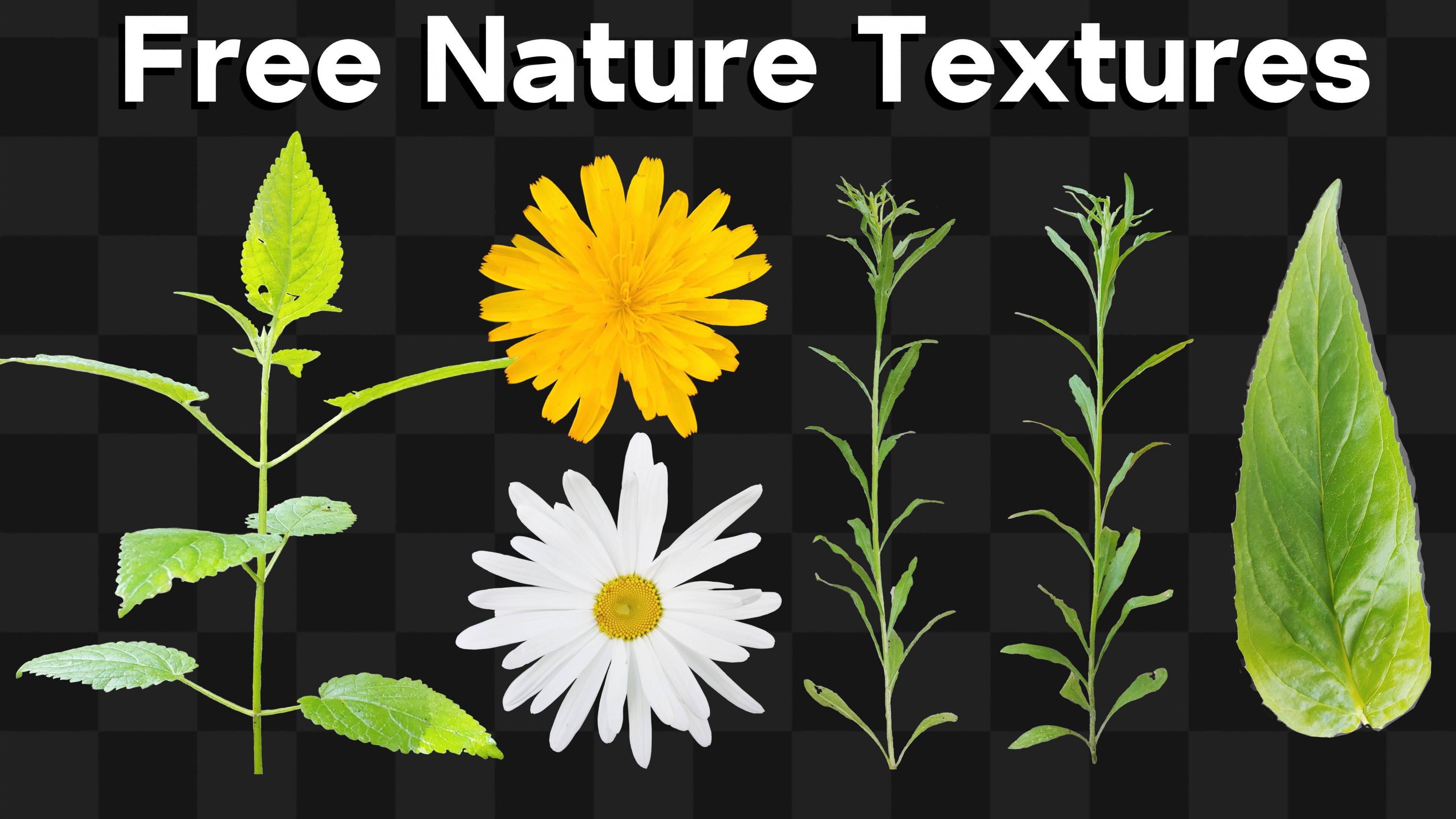 Nature Textures (Free Download)
