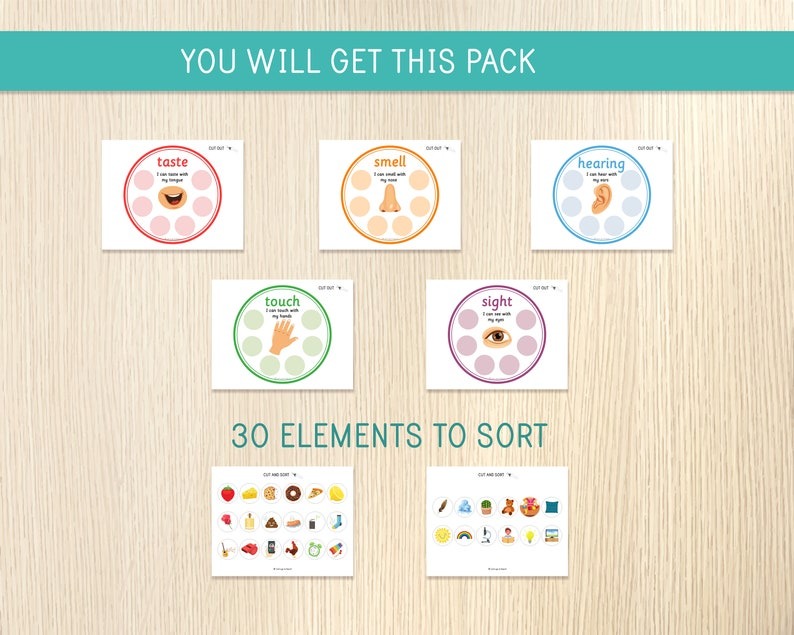 Five Senses Sorting Activity