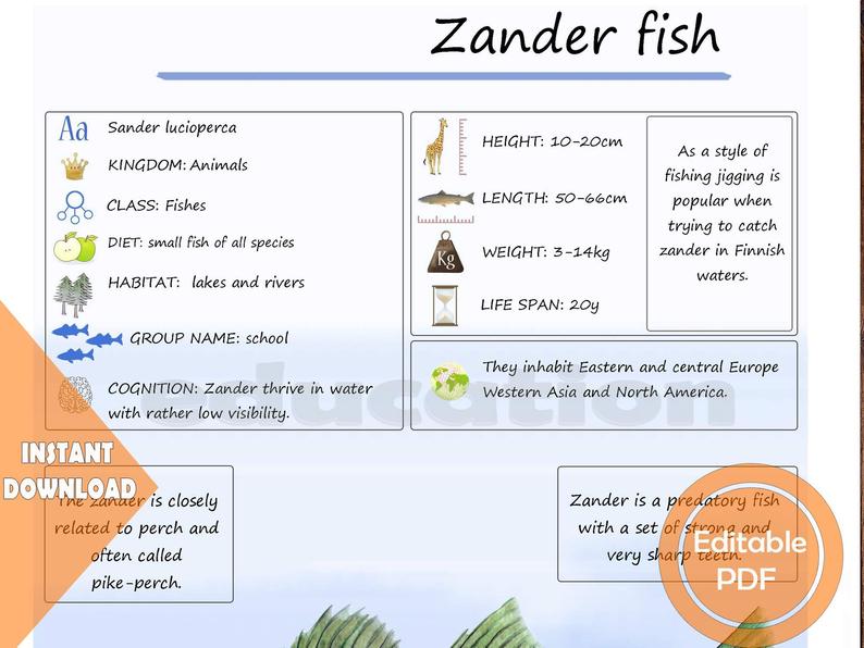 FISH Unit study, Anatomy, Poster and Puzzle, Printable, Biology science