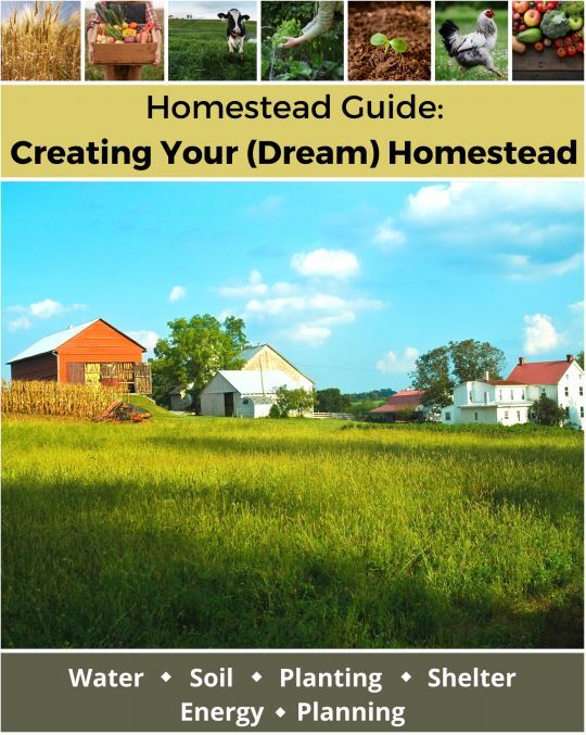 Homestead Guide: Creating Your Dream Homestead