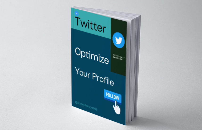 Twitter Profile Optimization